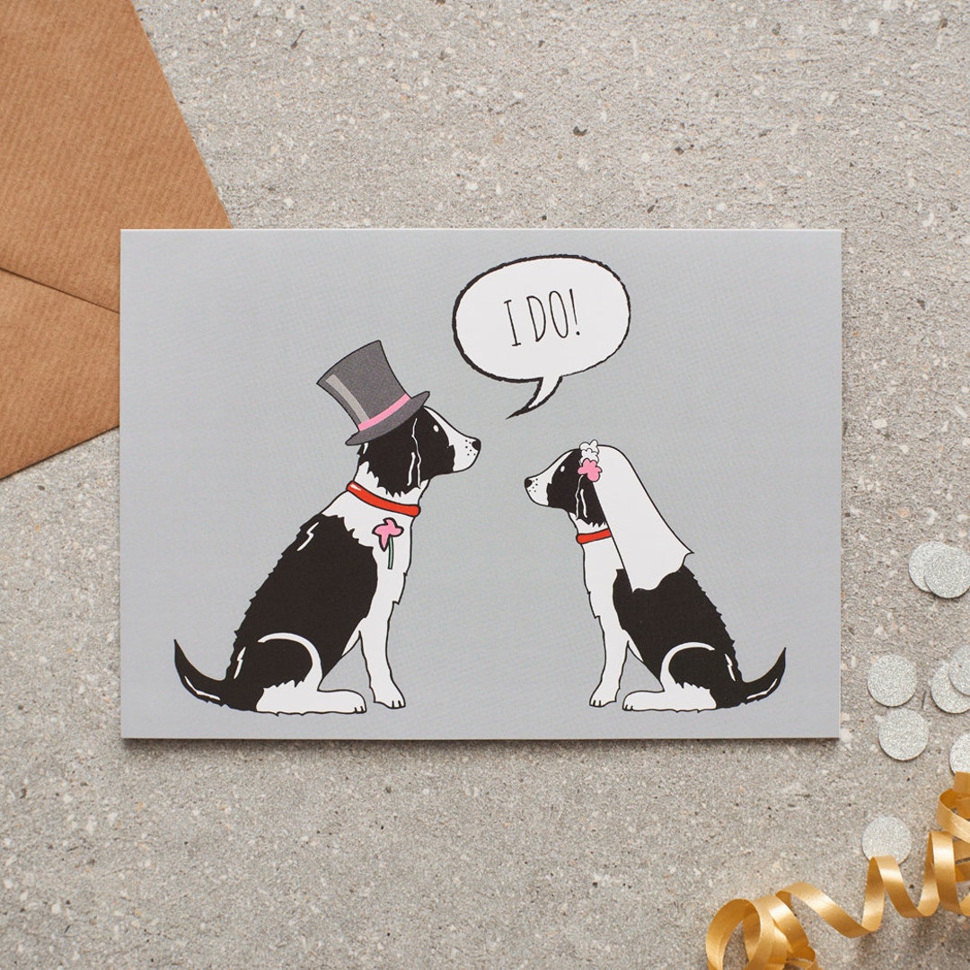 Springer Spaniel Wedding Card - Etsy UK