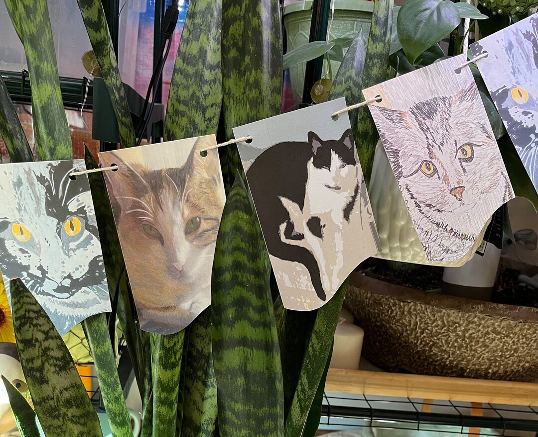Cat Party Banner Cat Lover Banner Cats Party Banner Party - Etsy