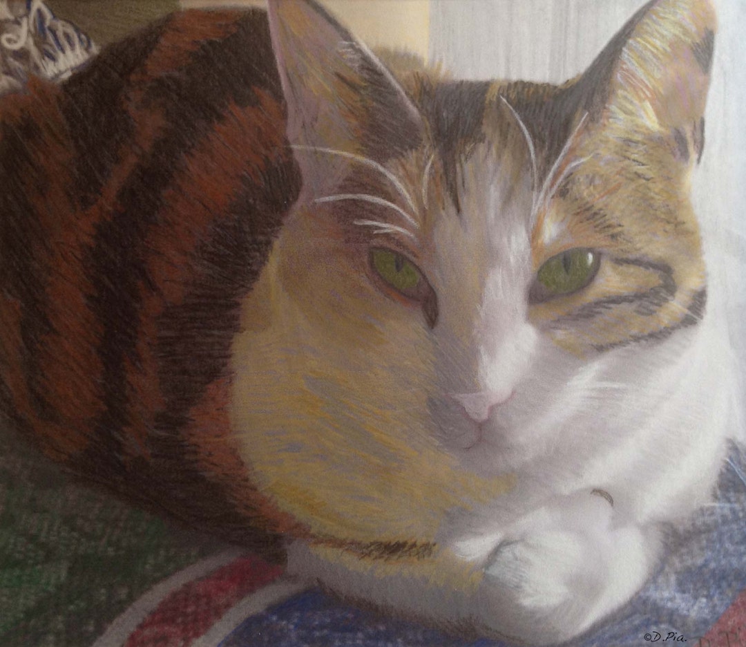 Calico Cat Drawing Custom Pet Portrait Cat Digital Print - Etsy
