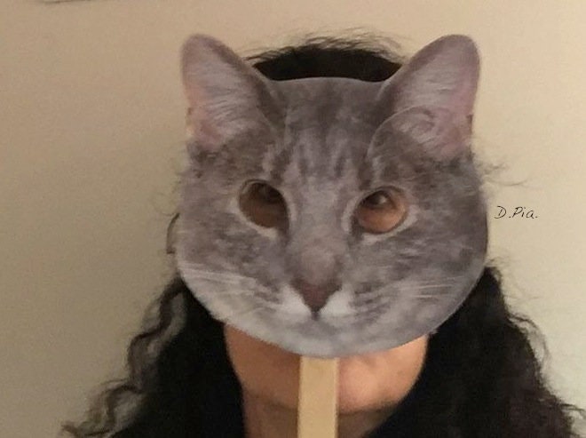 Grey Cat Mask Halloween or Gray Cat Face Mask Gray Cat Party Mask ...