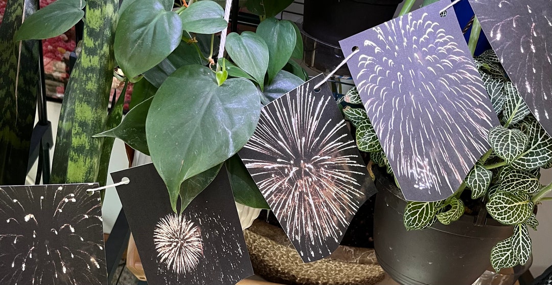 Fireworks Banner Firework Banner Firework Party Sign Decorative ...