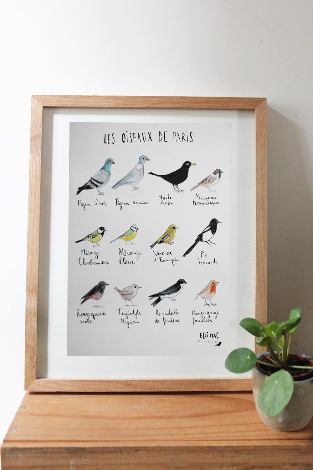 Large A5 Card the Birds of Paris Watercolor & Ink Illustration - Etsy