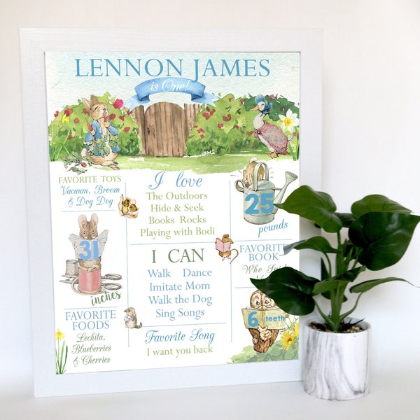 Peter Rabbit Image - Etsy