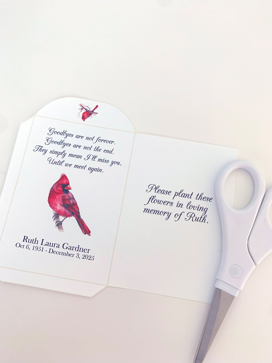 Editable Printable Cardinal Memorial Favor Seed Packet Cardinal ...