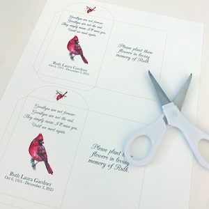 Editable Printable Cardinal Memorial Favor Seed Packet Cardinal ...