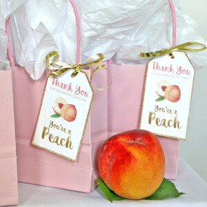PRINTABLE Peach Party Favor Tags, Peach Birthday Favor Tags, Peaches ...