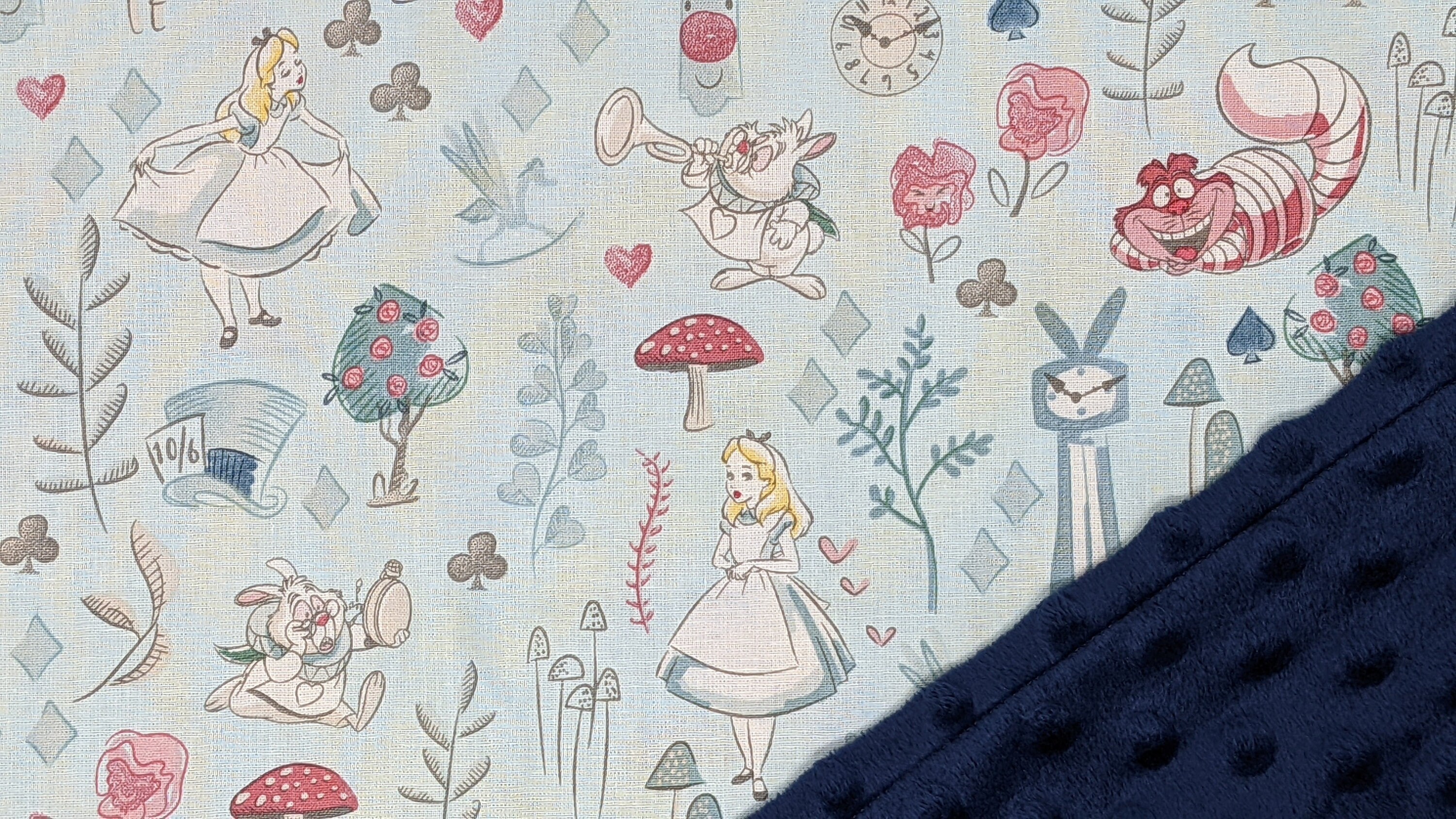Alice in Wonderland Blanket / Custom Sizes and Colors | Etsy