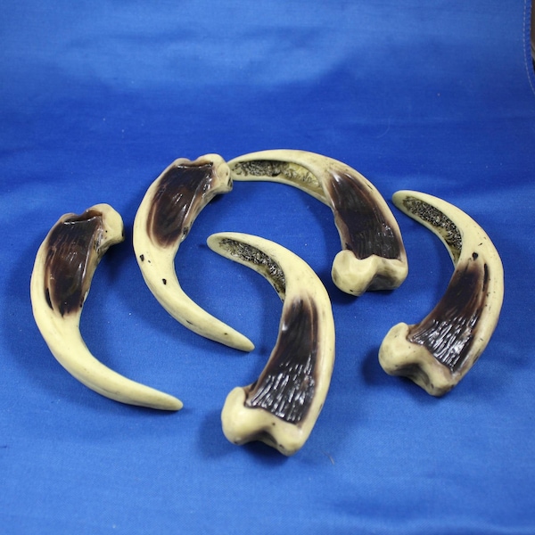 Native American Bear Claw Necklace - Etsy