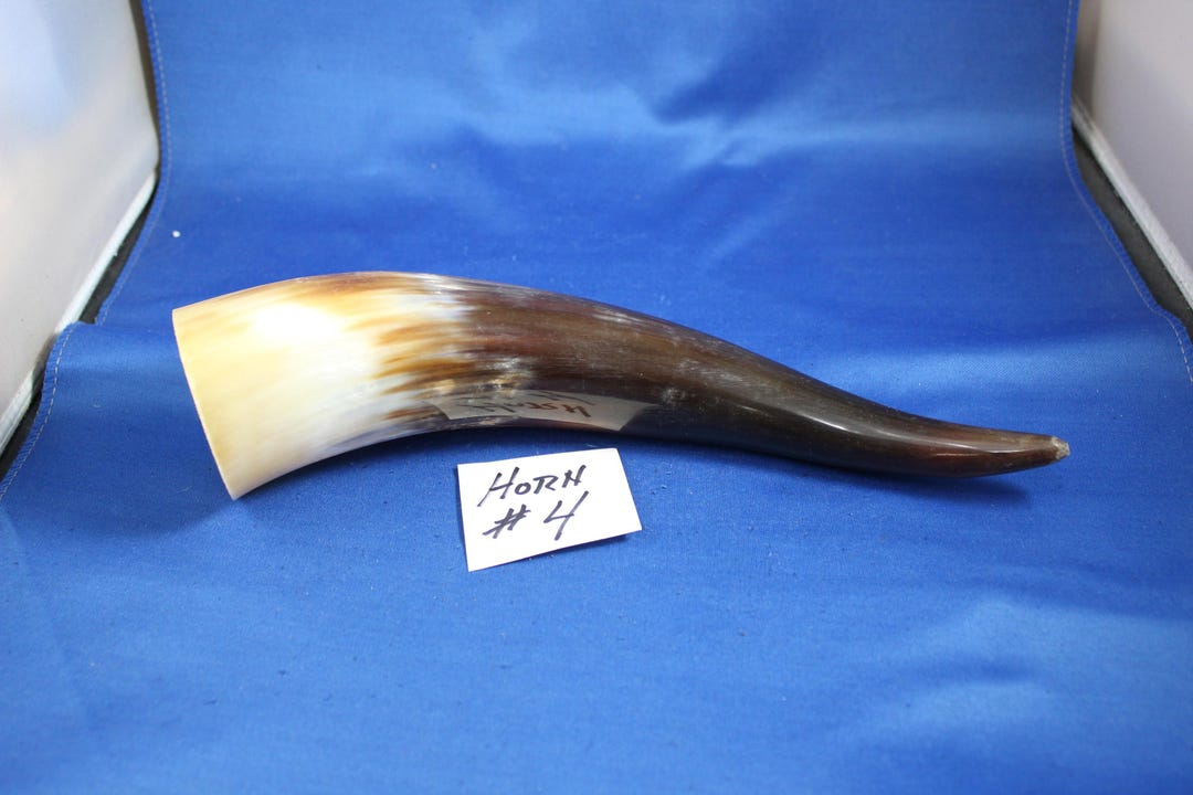 9" Water Buffalo Horn, Horn #4, Polished Horn, Natural Horn Supply ...