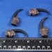4 Synthetic Eagle Claws, 2 Long, Perfect for Necklace Project, Native ...