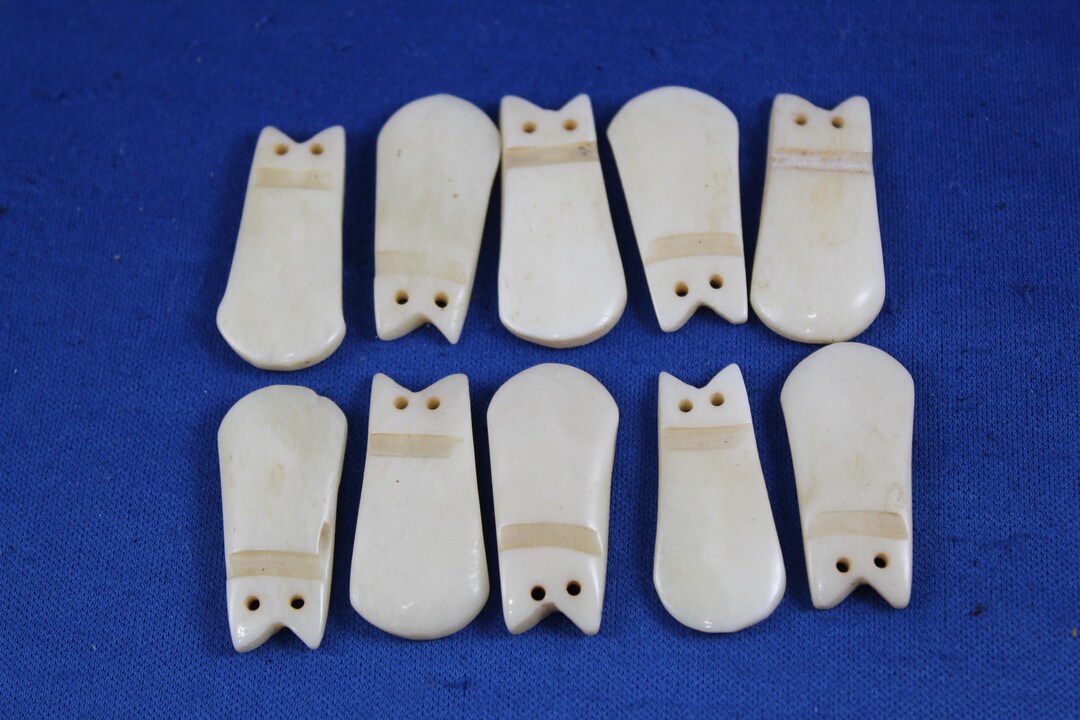 10 Carved Bone Teeth, Replica Elk Teeth, for Replica Crow Dress, Native ...