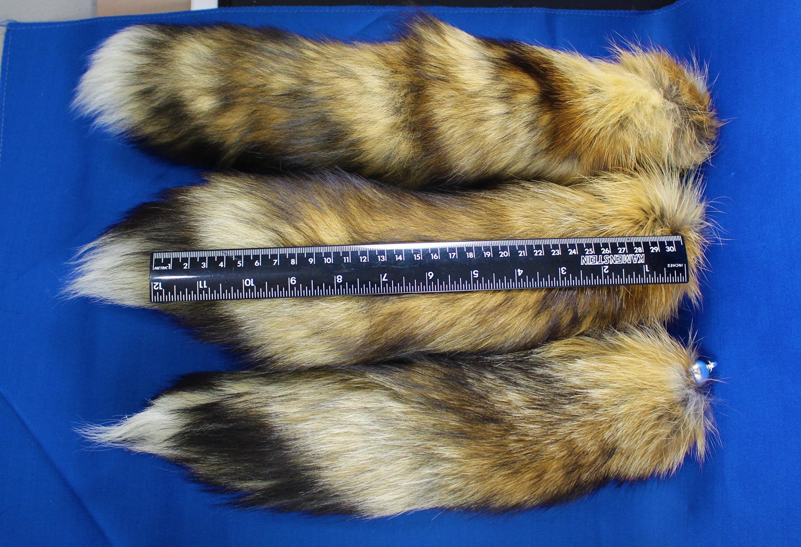Natural Red Fox Tail 14-16 Inch Tail Animal Parts Natural - Etsy