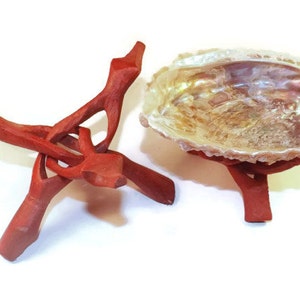 6 Inch Wood Display Stand, Abalone Shell Holder, Wooden Pottery Stand ...