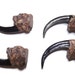 4 Synthetic Eagle Claws, 2 Long, Perfect for Necklace Project, Native ...