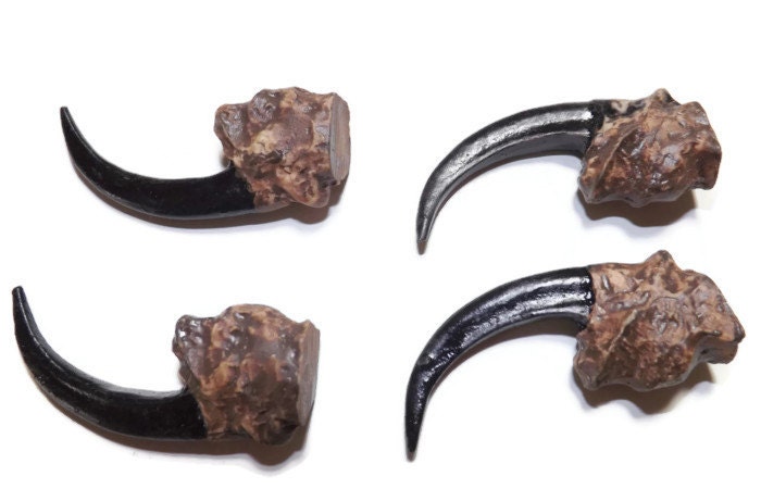 4 Synthetic Eagle Claws 2 Long Perfect for Necklace | Etsy