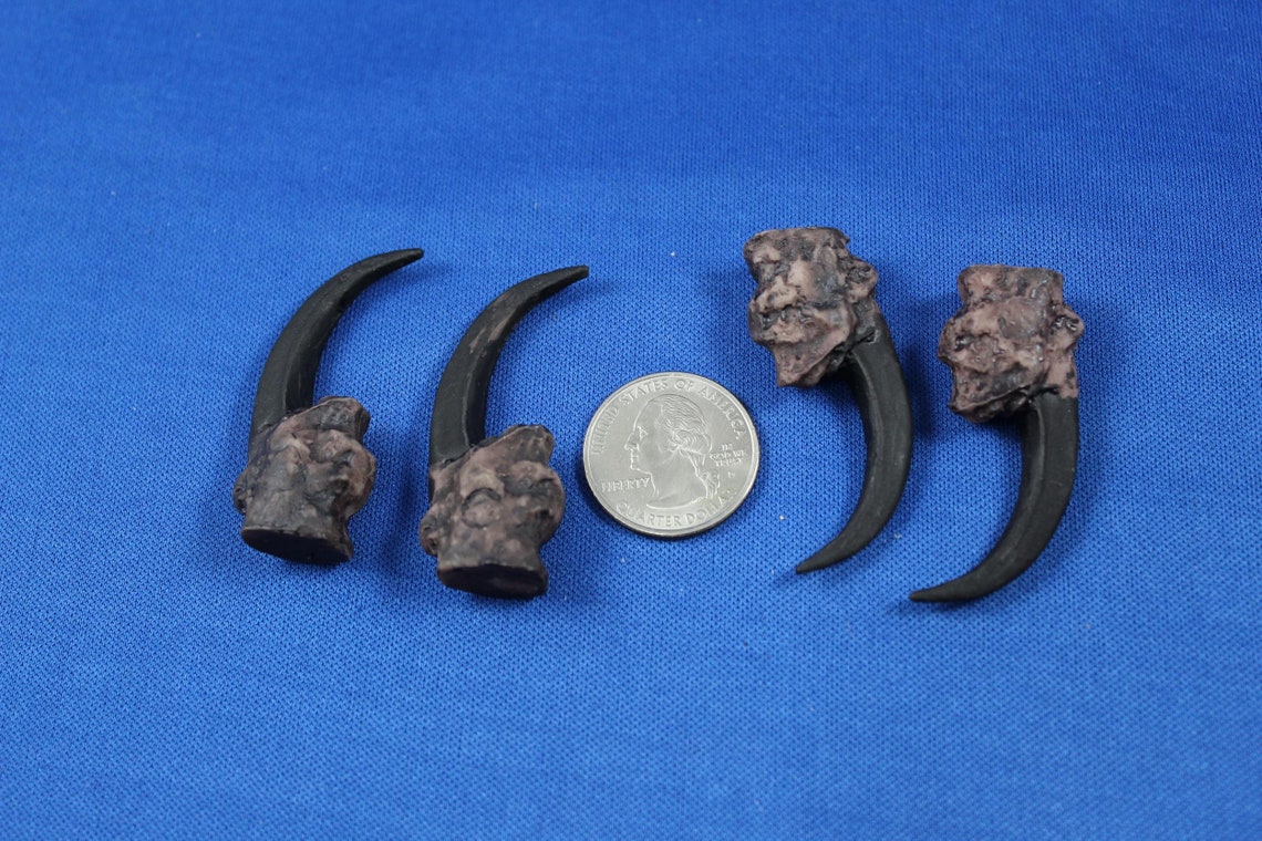 4 Synthetic Eagle Claws 2 Long Perfect for Necklace | Etsy