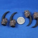 4 Synthetic Eagle Claws, 2 Long, Perfect for Necklace Project, Native ...