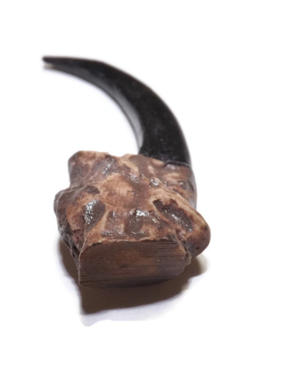 4 Synthetic Eagle Claws 2 Long Perfect for Necklace | Etsy