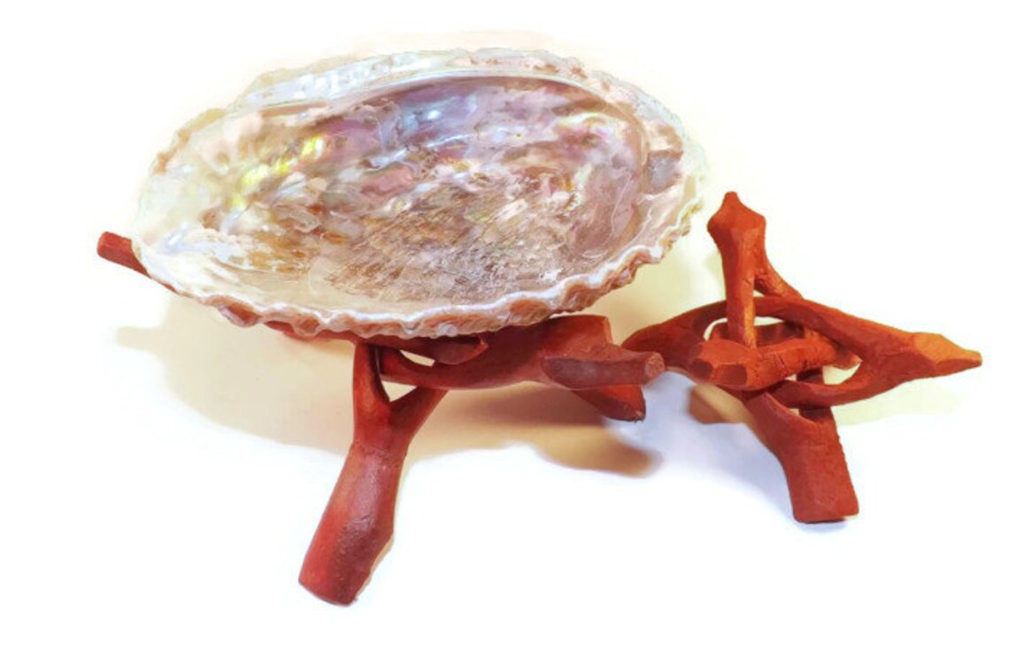 6 Inch Wood Display Stand Abalone Shell Holder Wooden - Etsy