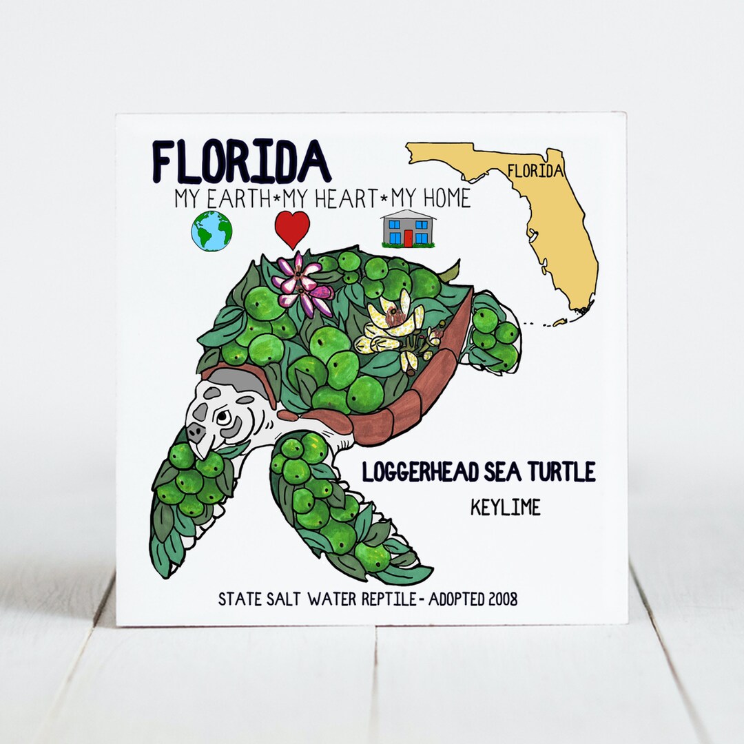 Ceramic Coaster, Florida, State Symbol, Loggerhead Sea Turtle, Key Lime ...