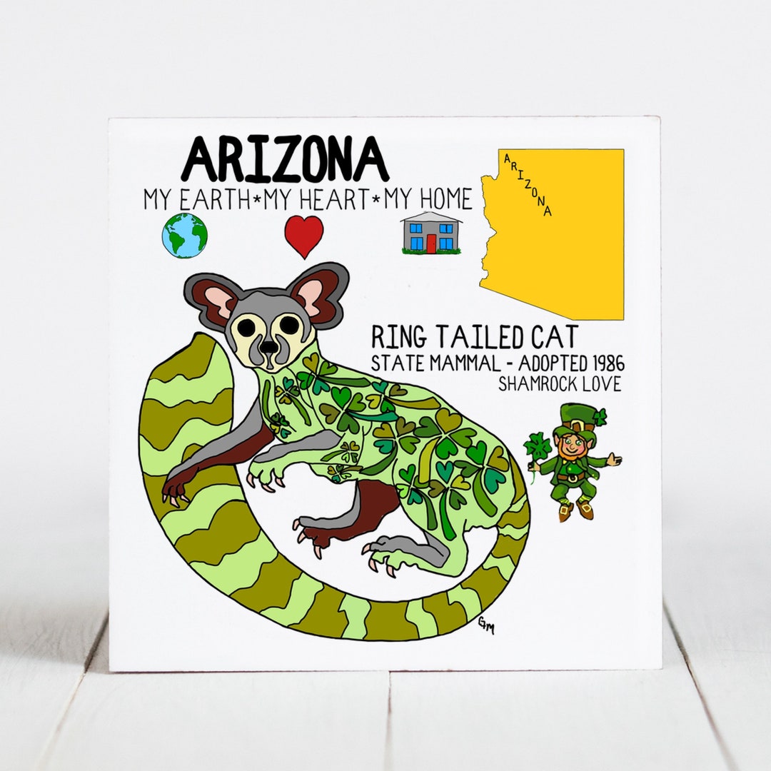 Ceramic Coaster, Arizona, State Symbols, Ring Tailed Cat, Shamrock Love ...