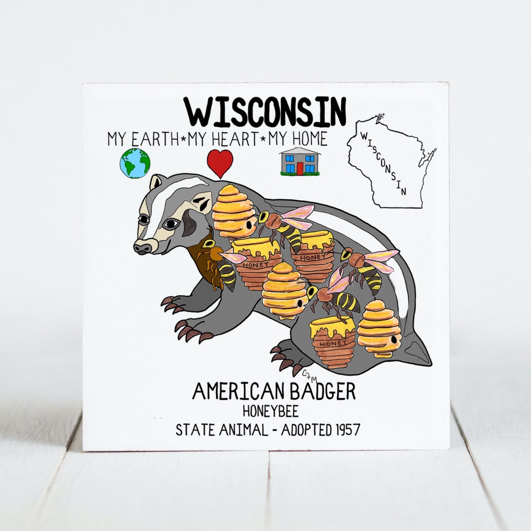 Ceramic Coaster Wisconsin State Symbols American Badger - Etsy