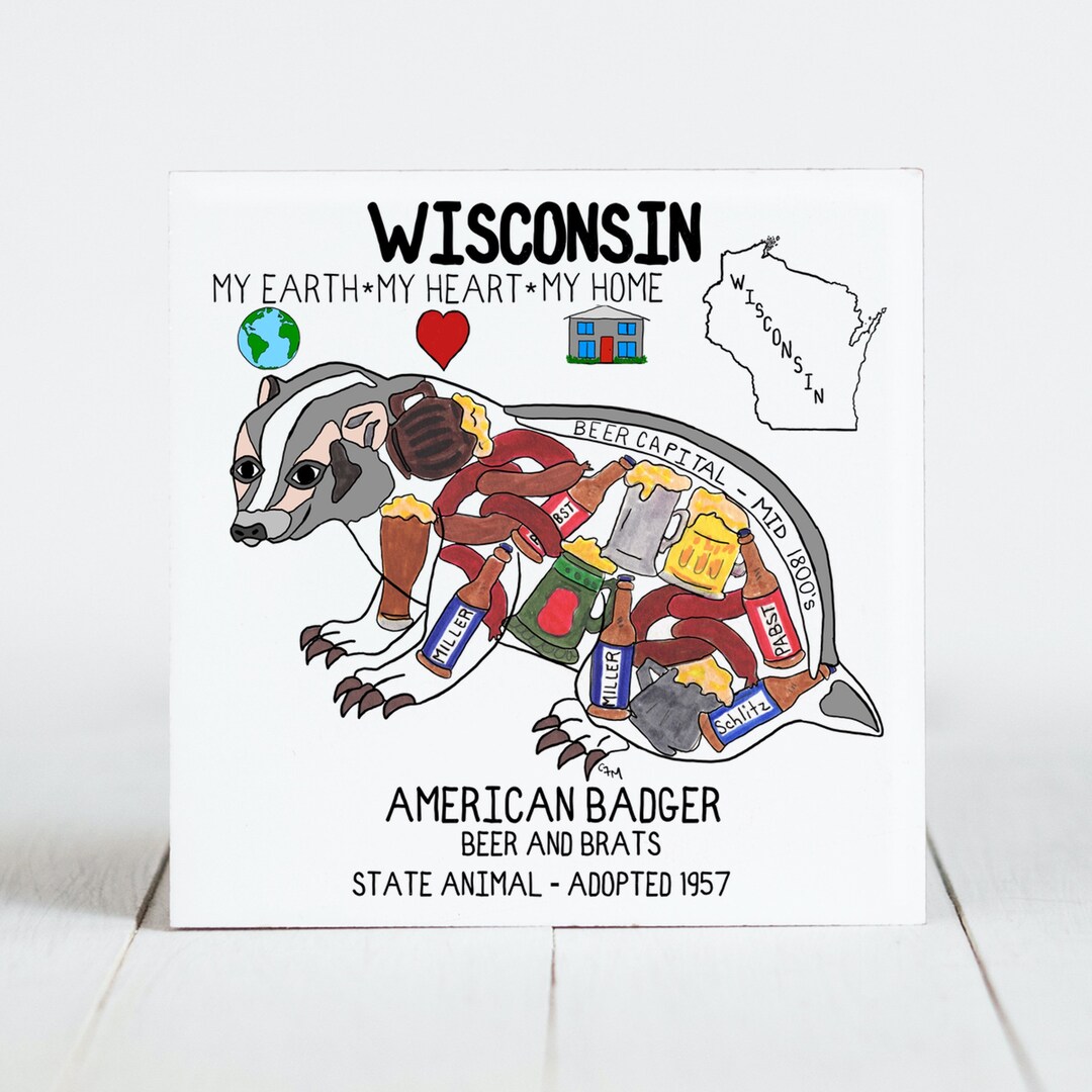 Ceramic Coaster Wisconsin State Symbols American Badger - Etsy