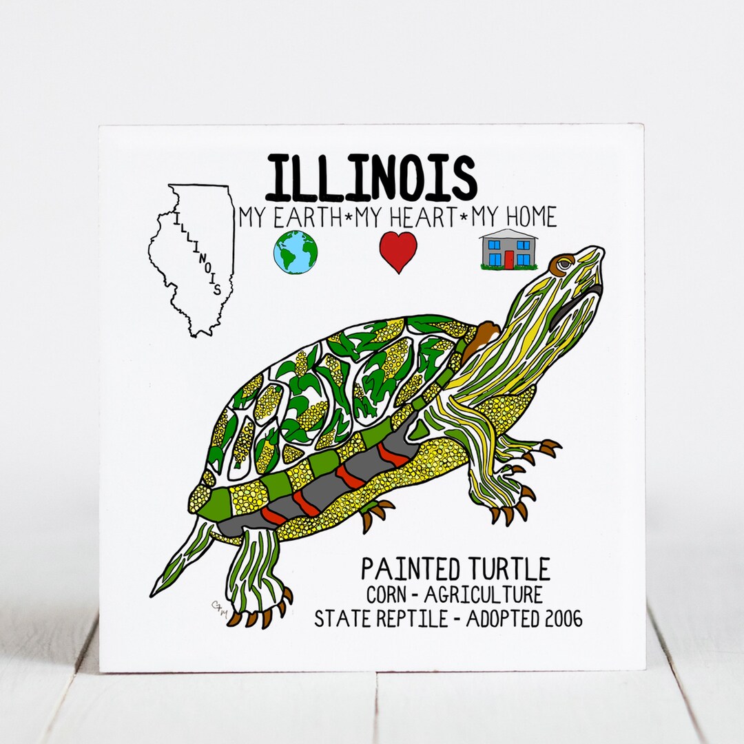 Ceramic Coaster, Illinois, State Symbols, Painted Turtle, Corn, Ceramic ...