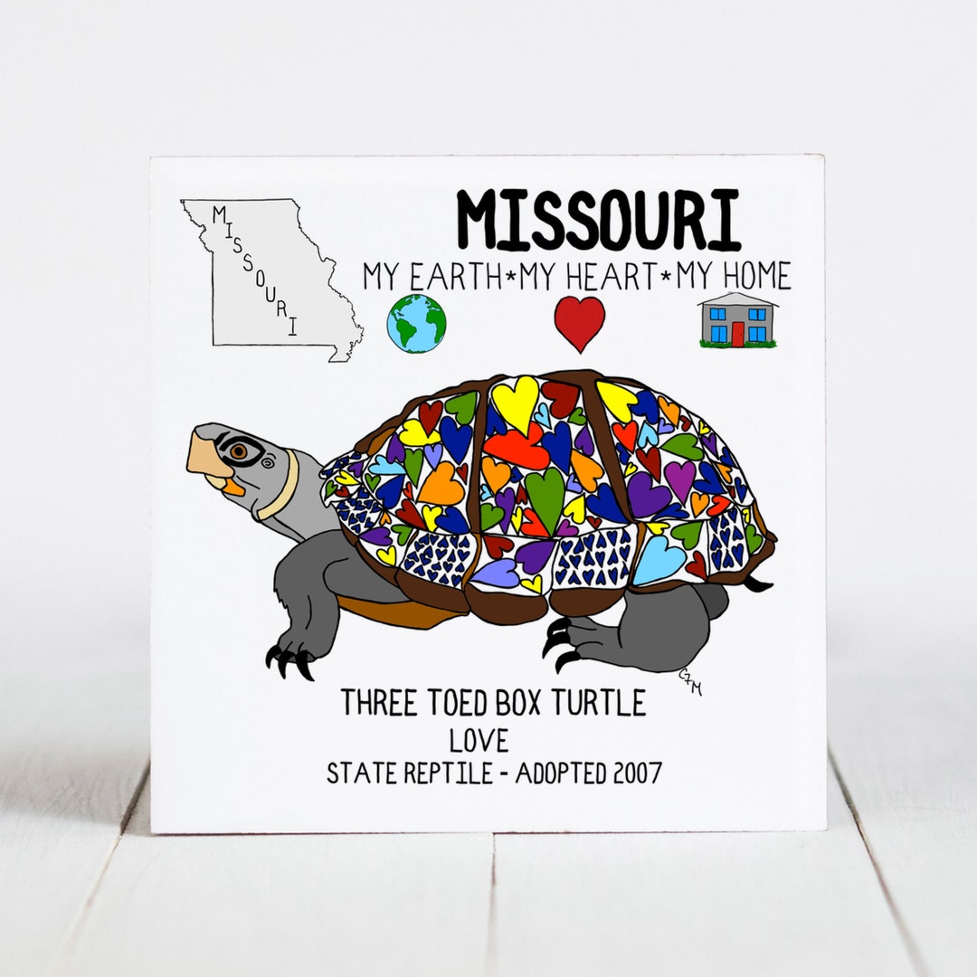 Ceramic Coaster Missouri State Symbols Three Toed Box - Etsy Italia