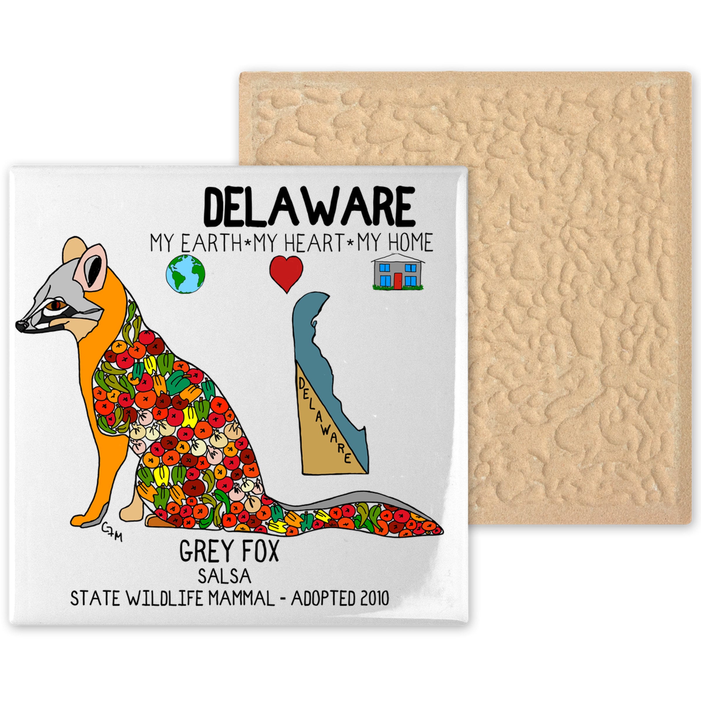 Delaware State Animal Grey Fox