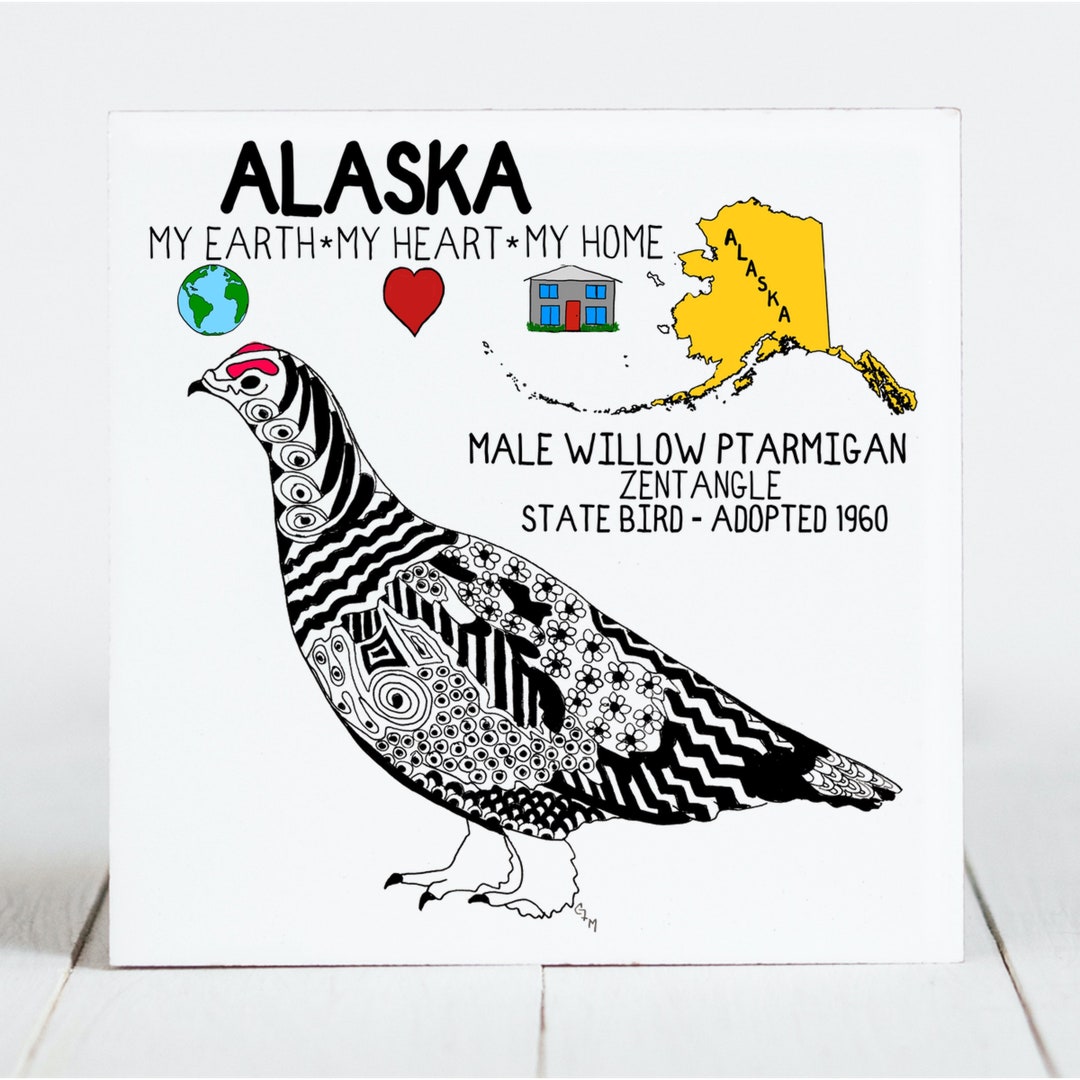 Ceramic Coaster Alaska State Symbols Series Male Willow - Etsy