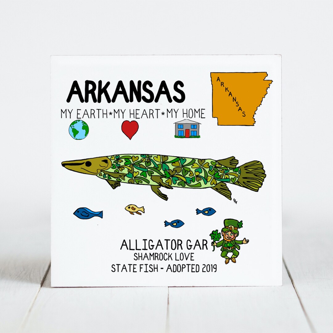 Ceramic Coaster Arkansas State Symbols Alligator Gar - Etsy