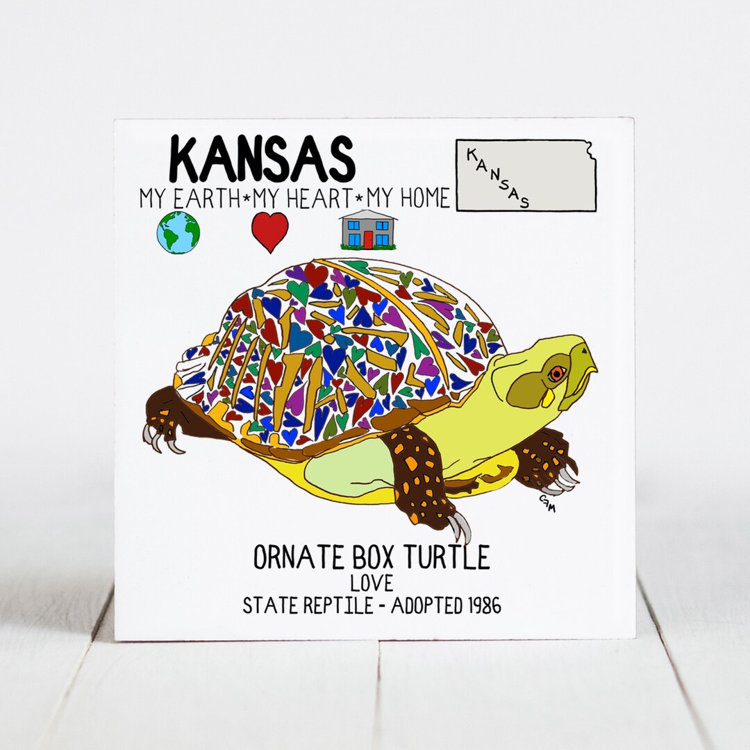 Ceramic Coaster, Kansas, State Symbols, Ornate Box Turtle, Love ...
