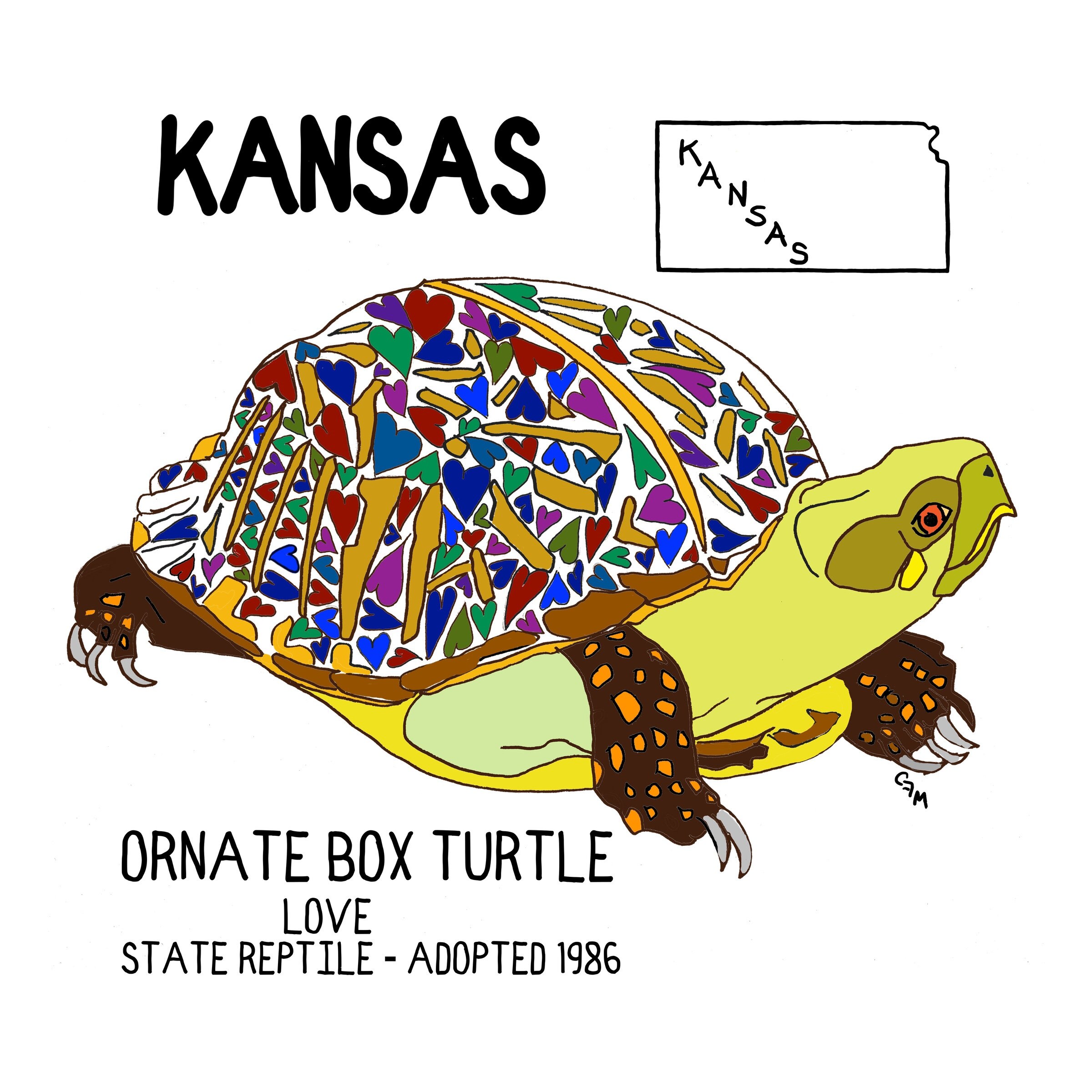 Ceramic Coaster, Kansas, State Symbols, Ornate Box Turtle, Love ...