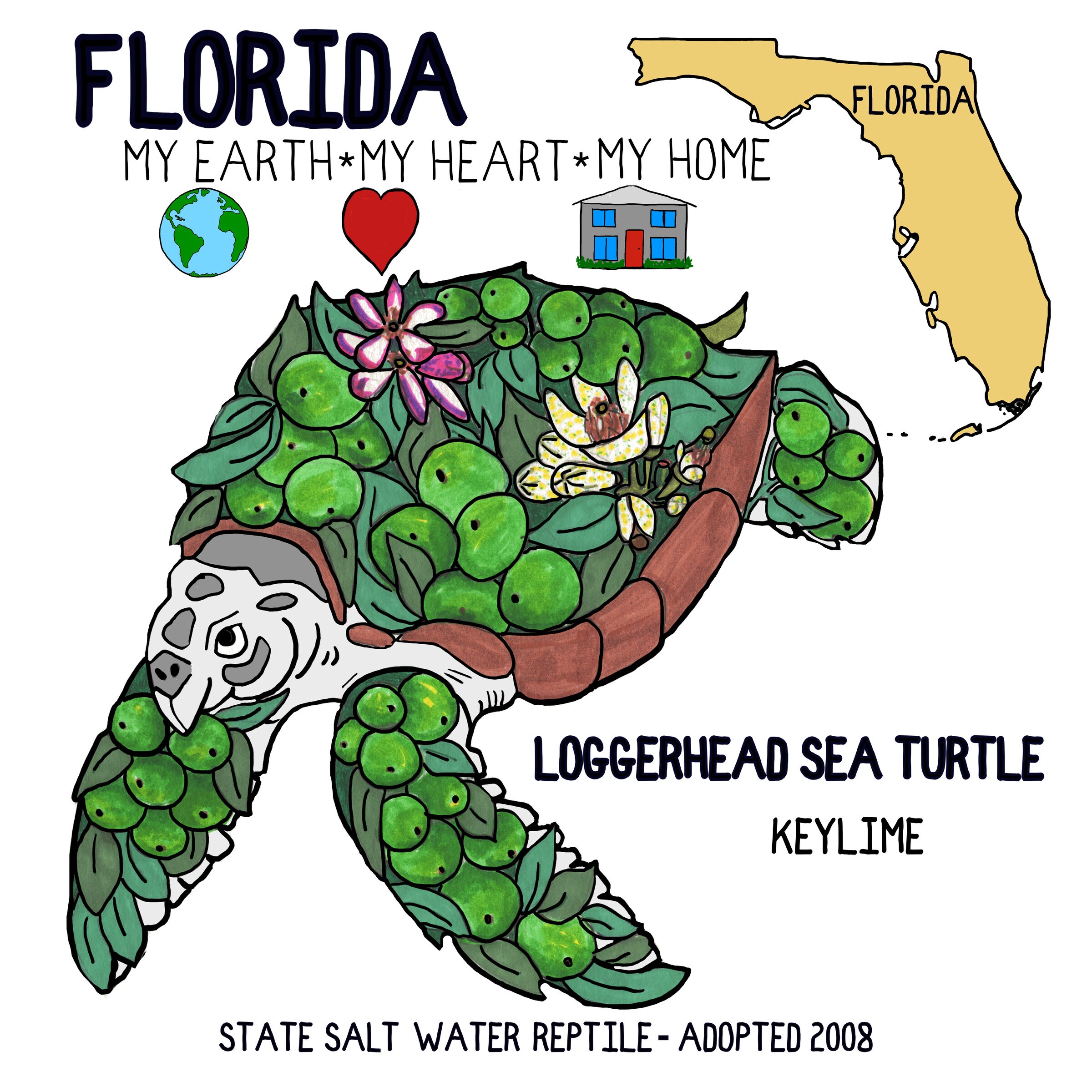 Ceramic Coaster, Florida, State Symbol, Loggerhead Sea Turtle, Key Lime ...