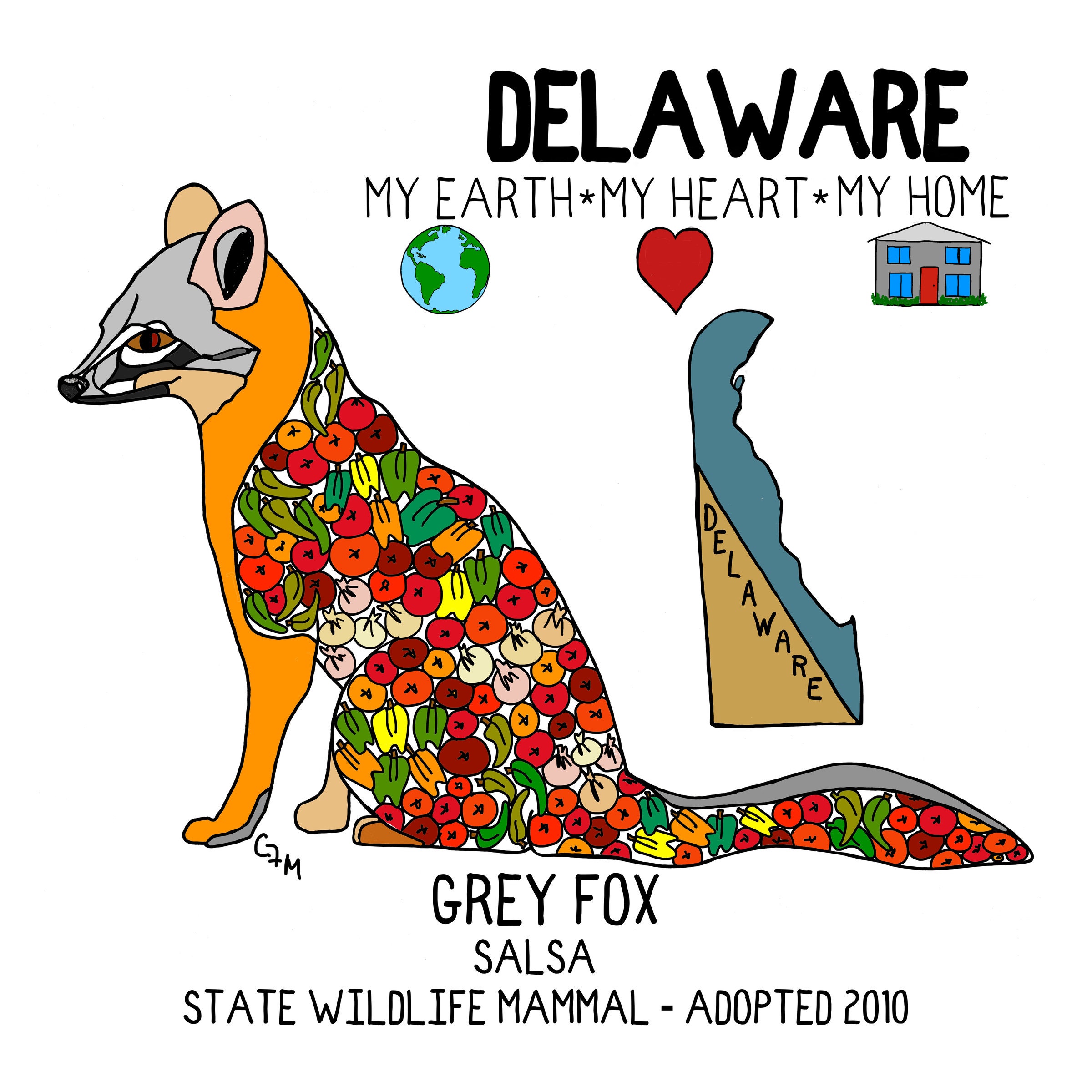 Delaware State Animal Grey Fox