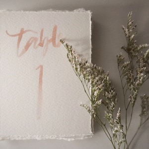 Hand-painted Watercolor Table Numbers: Deckled Edge Paper - Etsy