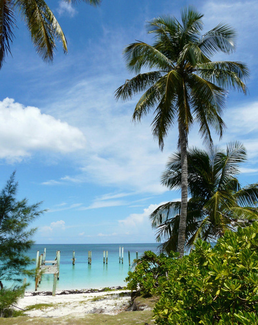 Nichols Town Dock & Palm Andros, Bahamas - Etsy