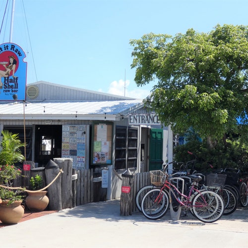 Green Parrot Conch Shell Bar Key West Florida | Etsy