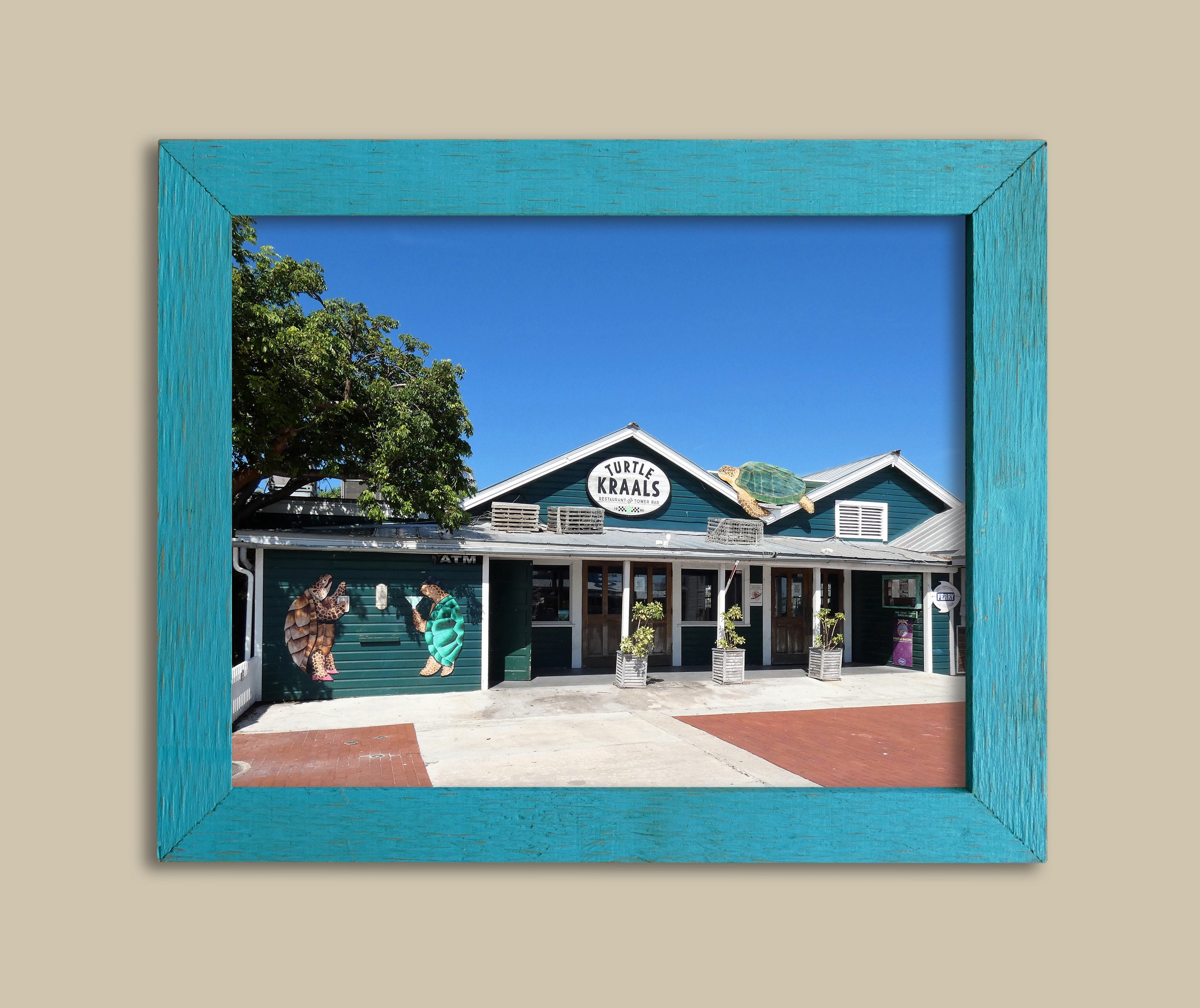 Turtle Kraals - Key West - Etsy