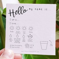 Potted Plant Printable Letter Paper, House Plants, Succulents, Writing ...
