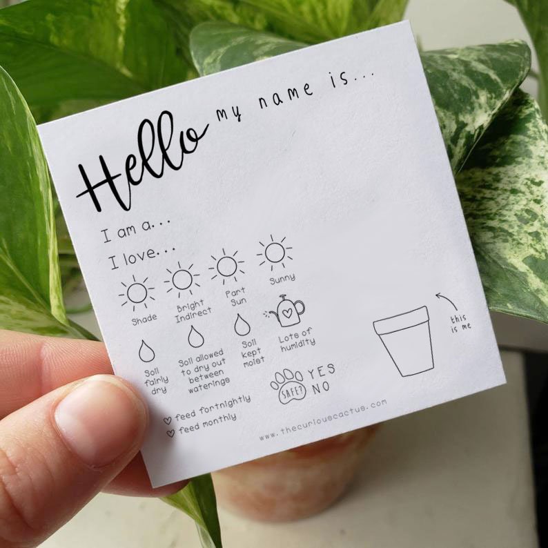 Plant Care Tags DIGITAL DOWNLOAD Print Yourself at Home | Etsy