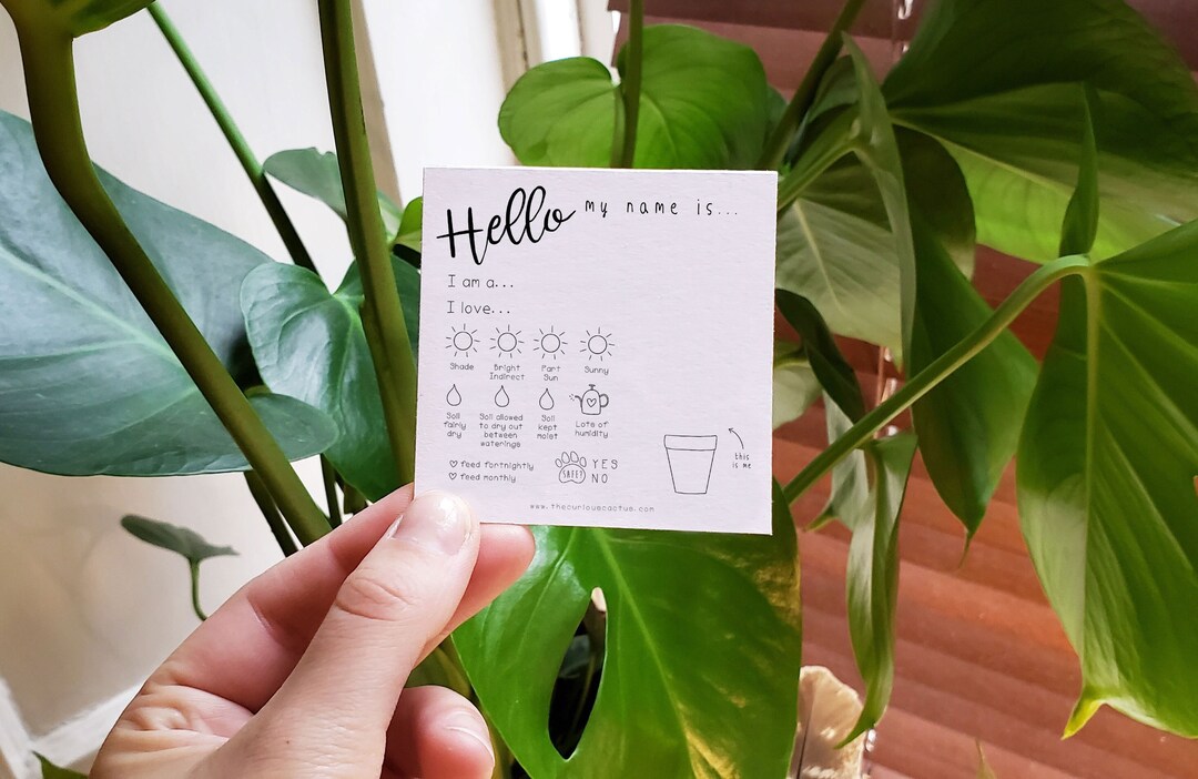 Plant Care Tags DIGITAL DOWNLOAD Print Yourself at Home - Plant Care ...
