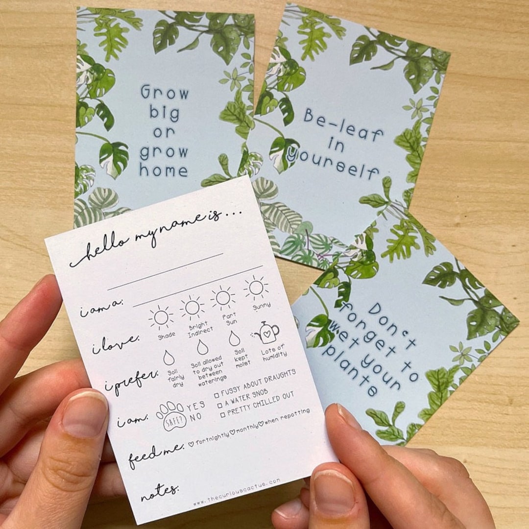 Plant Care Tags Set of 8 Plant Care Gift for Plant Sitter, Indoor Plant ...