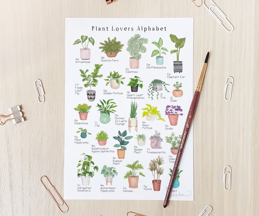 Plant Alphabet Art Print Watercolour Indoor Plants, Houseplants Home ...