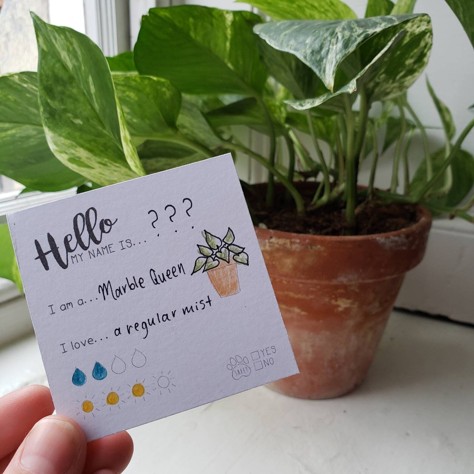 Plant Care Tags PHYSICAL Set Of 12 Plus Stickers Plant Care Etsy