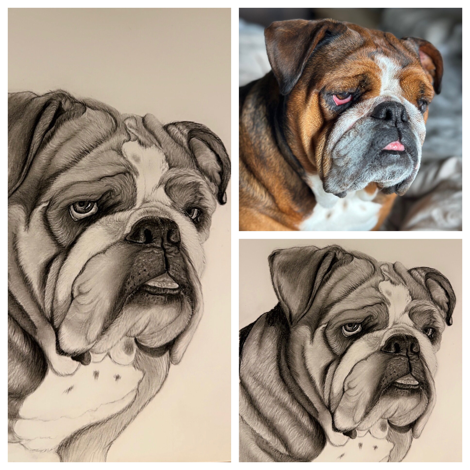 Personalised Pet Sketch, Custom Animal Drawing, Dog Portrait From Photo ...