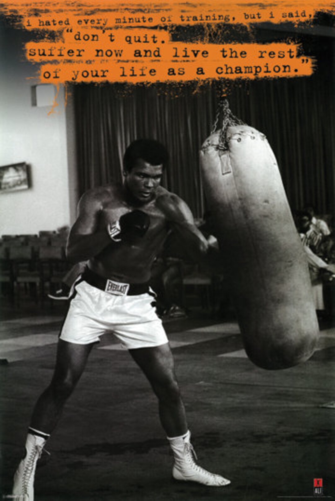 Muhammad Ali Punching Bag 24x36 Premium Poster - Etsy