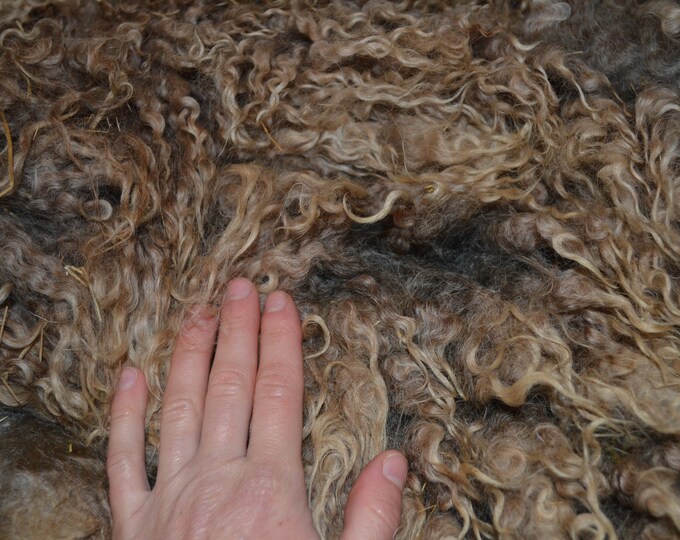 Natural Colored Gulf Coast Native Cross Fleeces - Etsy