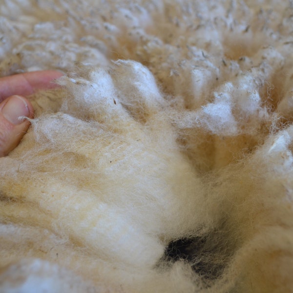 Raw Wool Fleece - Etsy